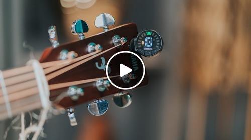 The Guitarist's Survival Kit