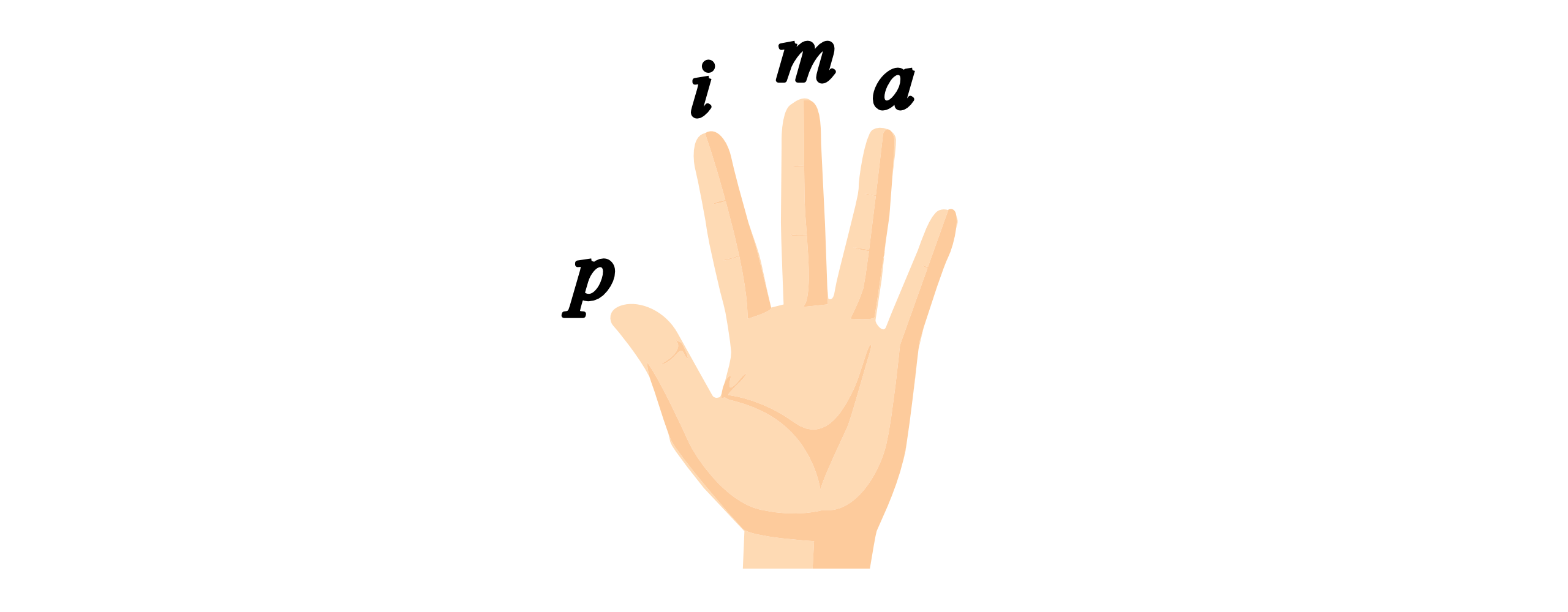 Fingerstyle For Beginners - Guitareo Riff