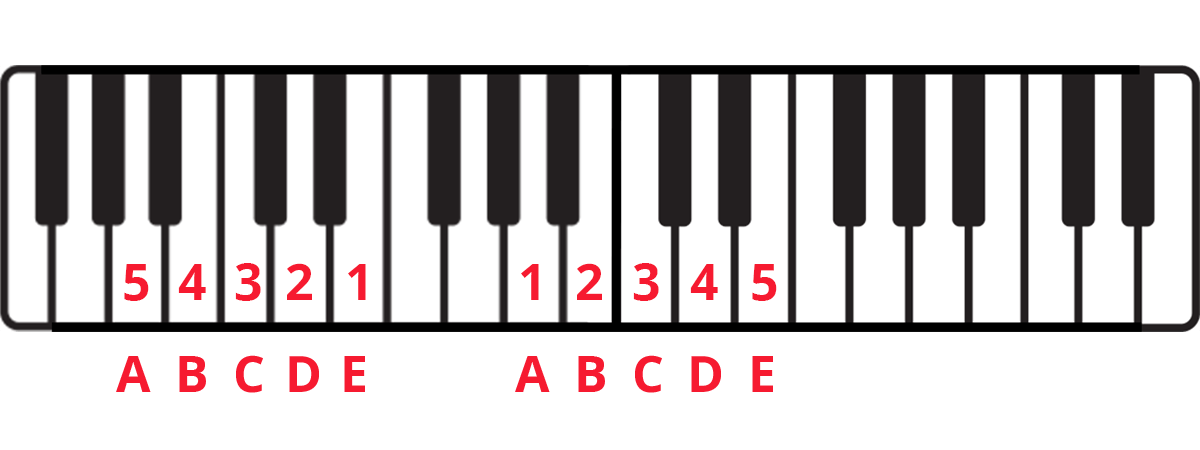 Piano Practice Routine for Beginners (Not Boring!) | Pianote