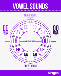 Vowels: The Singer's Secret Weapon - The Chorus